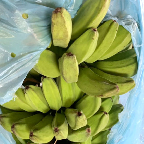 Our Premium Saging Saba - Akabane Bussan