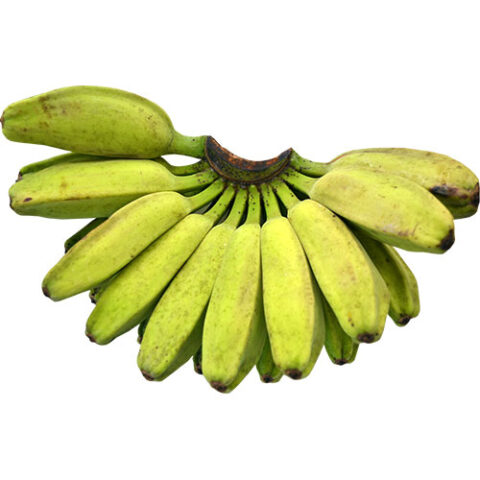 Saging Saba (Large) 2000g~ - Akabane Bussan