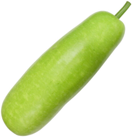 Upo (about 1kg) 1pc - Akabane Bussan