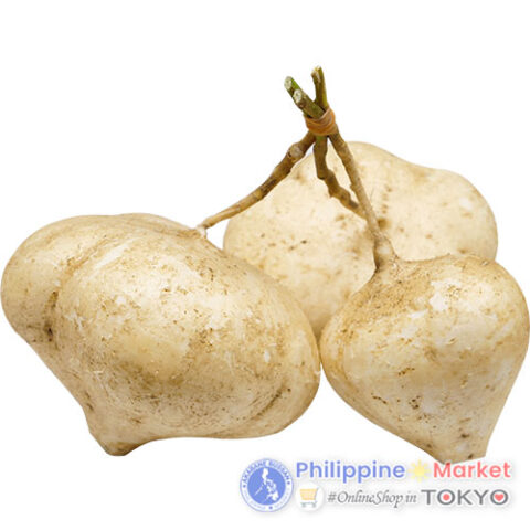 Singkamas 1kg - Akabane Bussan